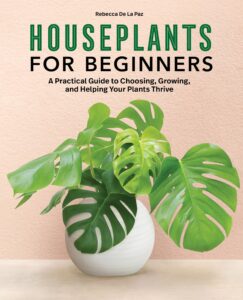 houseplants for beginners: a practical guide to choosing, growing, and helping your plants thrive