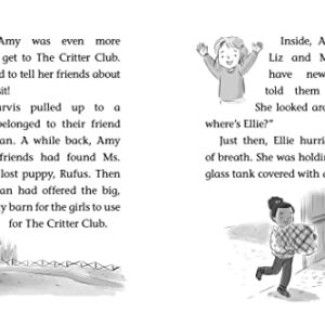 Amy and the Emerald Snake (25) (The Critter Club)