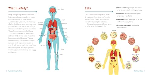 Human Anatomy for Kids: A Junior Scientist's Guide to How We Move, Breathe, and Grow