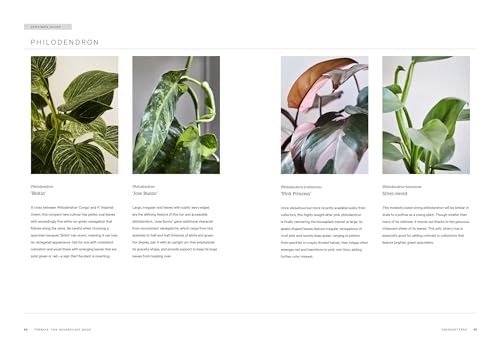 Terrain: The Houseplant Book: An Insider’s Guide to Cultivating and Collecting the Most Sought-After Specimens