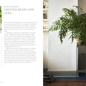 Terrain: The Houseplant Book: An Insider’s Guide to Cultivating and Collecting the Most Sought-After Specimens