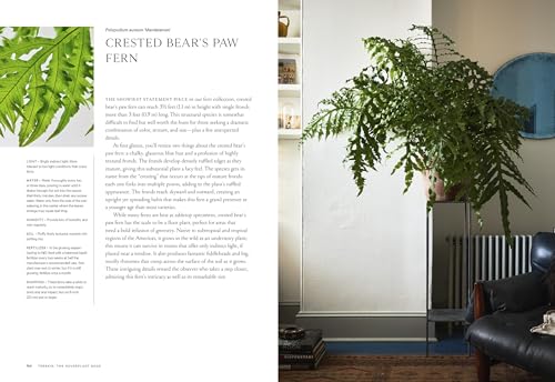 Terrain: The Houseplant Book: An Insider’s Guide to Cultivating and Collecting the Most Sought-After Specimens