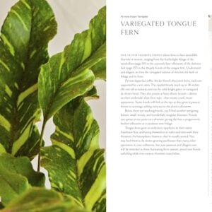 Terrain: The Houseplant Book: An Insider’s Guide to Cultivating and Collecting the Most Sought-After Specimens