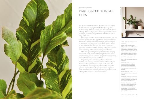 Terrain: The Houseplant Book: An Insider’s Guide to Cultivating and Collecting the Most Sought-After Specimens