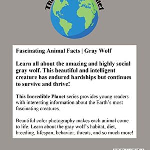 Gray Wolf: Fascinating Animal Facts for Kids (This Incredible Planet)