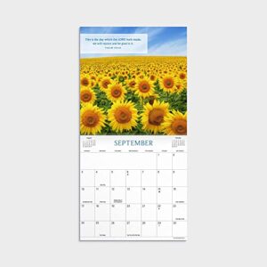 Psalms: Featuring Scripture From the King James Bible - A 2023 Inspirational DaySpring Mini Calendar