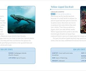 Ocean Animals for Kids: A Junior Scientist's Guide to Whales, Sharks, and Other Marine Life