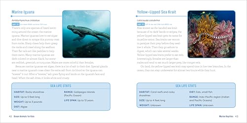 Ocean Animals for Kids: A Junior Scientist's Guide to Whales, Sharks, and Other Marine Life