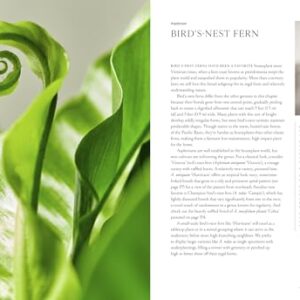 Terrain: The Houseplant Book: An Insider’s Guide to Cultivating and Collecting the Most Sought-After Specimens