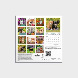 Whisker & Paws 2023 Mini Wall Calendar: A 2023 Inspirational DaySpring Mini Calendar