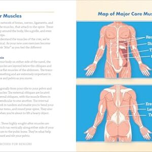 5-Minute Core Exercises for Seniors: Daily Routines to Build Balance and Boost Confidence