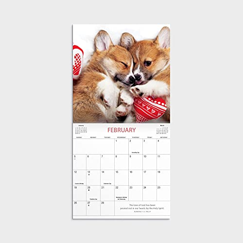 Whisker & Paws 2023 Mini Wall Calendar: A 2023 Inspirational DaySpring Mini Calendar