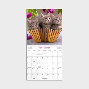 Whisker & Paws 2023 Mini Wall Calendar: A 2023 Inspirational DaySpring Mini Calendar