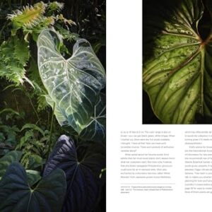 Terrain: The Houseplant Book: An Insider’s Guide to Cultivating and Collecting the Most Sought-After Specimens