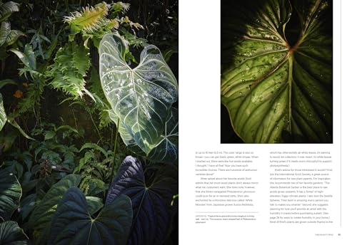 Terrain: The Houseplant Book: An Insider’s Guide to Cultivating and Collecting the Most Sought-After Specimens