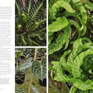 Terrain: The Houseplant Book: An Insider’s Guide to Cultivating and Collecting the Most Sought-After Specimens