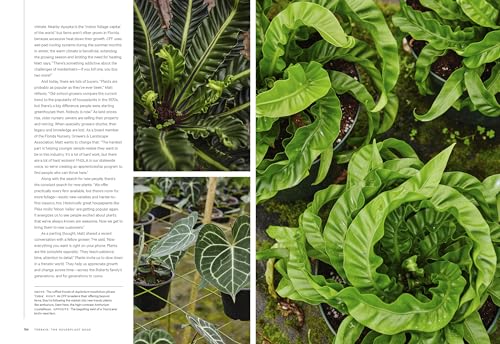 Terrain: The Houseplant Book: An Insider’s Guide to Cultivating and Collecting the Most Sought-After Specimens