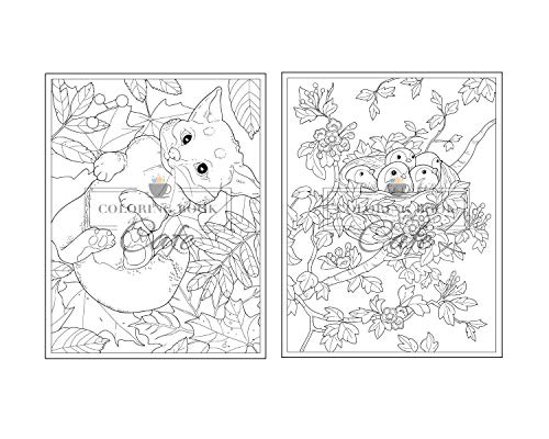 Baby Animals Coloring Book: An Adult Coloring Book Featuring Super Cute and Adorable Baby Woodland Animals for Stress Relief and Relaxation Vol. I