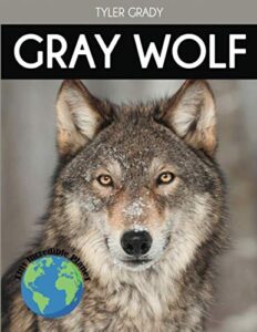 gray wolf: fascinating animal facts for kids (this incredible planet)