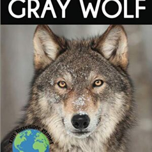 Gray Wolf: Fascinating Animal Facts for Kids (This Incredible Planet)