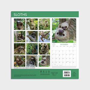 Sloths 2023 Wall Calendar