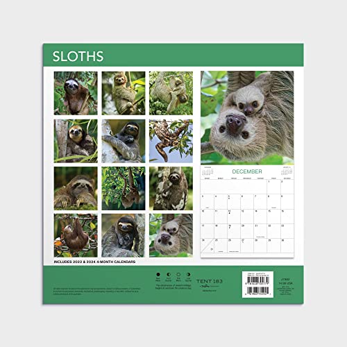 Sloths 2023 Wall Calendar