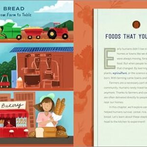 Food Anatomy Activities for Kids: Fun, Hands-On Learning