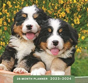 Puppies 2023 – 2024 28 Month Planner: 2 Year Pocket Calendar