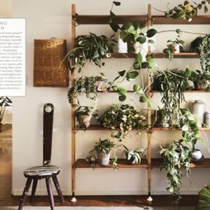 Terrain: The Houseplant Book: An Insider’s Guide to Cultivating and Collecting the Most Sought-After Specimens