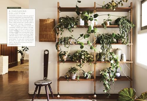 Terrain: The Houseplant Book: An Insider’s Guide to Cultivating and Collecting the Most Sought-After Specimens