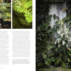 Terrain: The Houseplant Book: An Insider’s Guide to Cultivating and Collecting the Most Sought-After Specimens