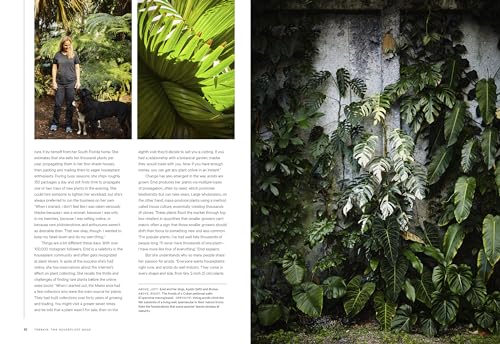 Terrain: The Houseplant Book: An Insider’s Guide to Cultivating and Collecting the Most Sought-After Specimens