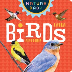 nature baby: birds