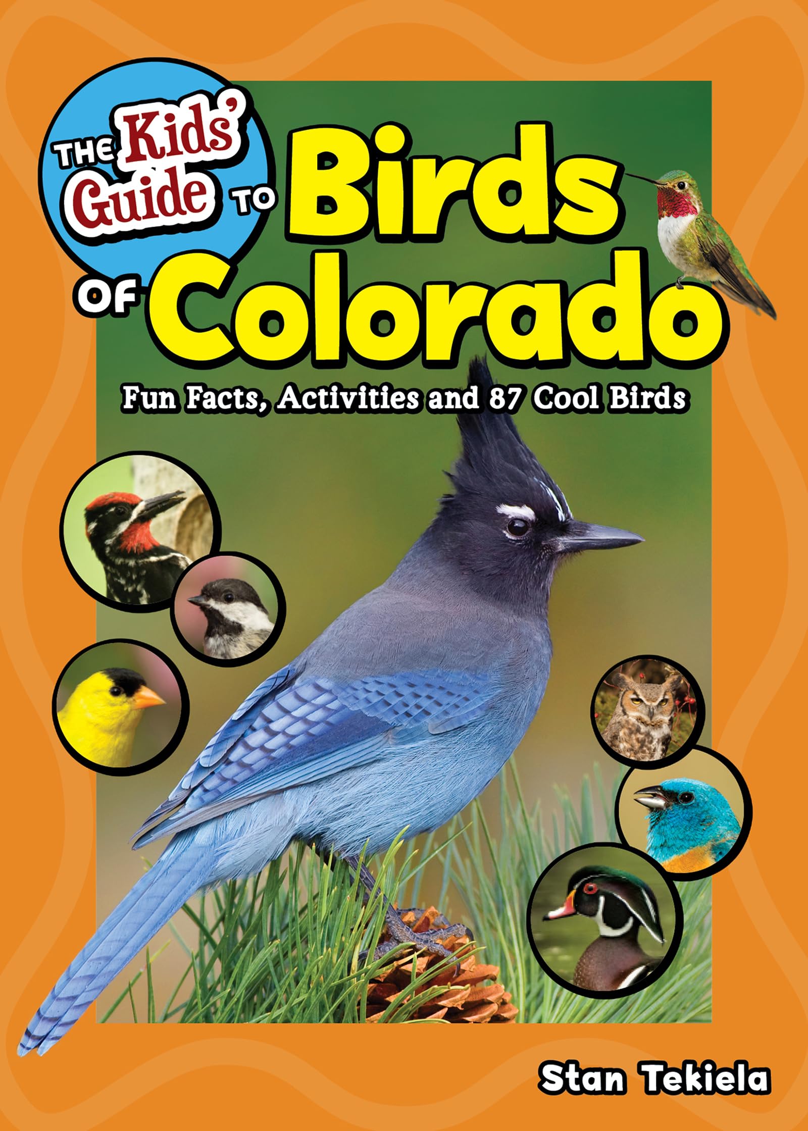 The Kids' Guide to Birds of Colorado: Fun Facts, Activities and 87 Cool Birds (Birding Children's Books)