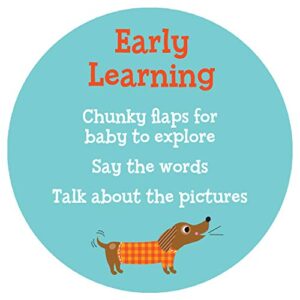 Babies in the Forest- A Lift-a-Flap Board Book for Babies and Toddlers, Ages 1-4 (Chunky Lift-A-Flap Board Book)