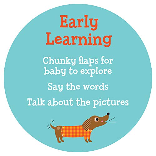 Babies in the Forest- A Lift-a-Flap Board Book for Babies and Toddlers, Ages 1-4 (Chunky Lift-A-Flap Board Book)