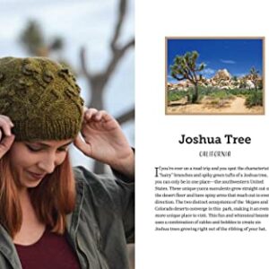 Knitting the National Parks: 63 Easy-to-Follow Designs for Beautiful Beanies Inspired by the US National Parks (Knitting Books and Patterns; Knitting Beanies)