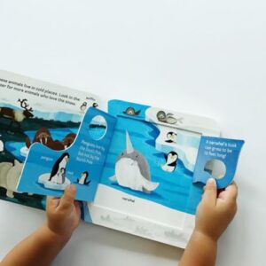 Zoo: Peek-a-Flap Board Book