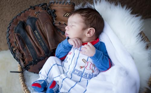 Let's Play Baseball! A Lift-a-Flap Board Book for Babies and Toddlers