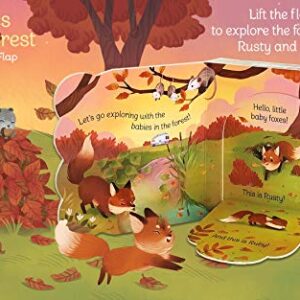 Babies in the Forest- A Lift-a-Flap Board Book for Babies and Toddlers, Ages 1-4 (Chunky Lift-A-Flap Board Book)