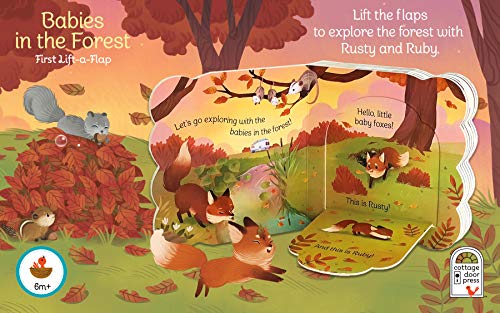 Babies in the Forest- A Lift-a-Flap Board Book for Babies and Toddlers, Ages 1-4 (Chunky Lift-A-Flap Board Book)