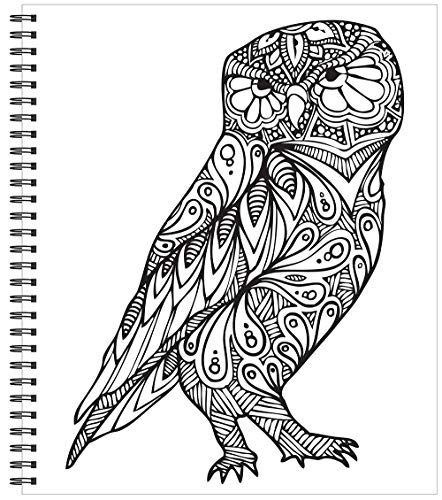 Color Me! Adult Coloring Book (Skull Cover - Includes a Variety of Images)