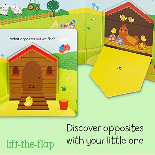 Big Egg, Small Egg - Lift-a-Flap Board Book, Gifts for Easter Baskets or Stuffers Ages 1-4