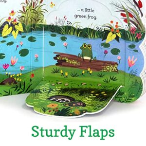 Little Green Frog Chunky Lift-a-Flap Board Book (Babies Love)