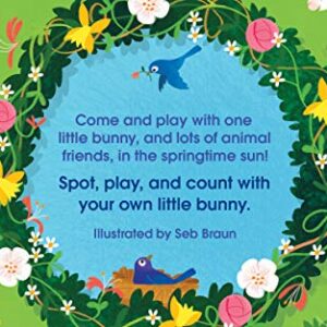 One LIttle Bunny: A Counting Playbook - Children's Board Book Gifts for Easter Baskets and Springtime Fun, Ages 1-5