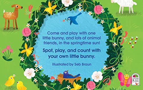 One LIttle Bunny: A Counting Playbook - Children's Board Book Gifts for Easter Baskets and Springtime Fun, Ages 1-5