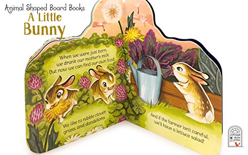 A Little Bunny - Children's Animal Shaped Board Book,