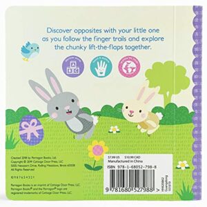 Big Egg, Small Egg - Lift-a-Flap Board Book, Gifts for Easter Baskets or Stuffers Ages 1-4