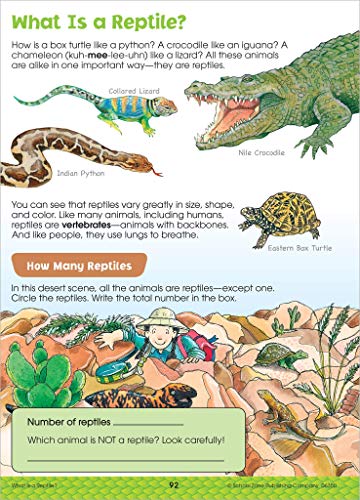 School Zone - Big Science Workbook - 320 Pages, Ages 7 to 9, 2nd Grade, 3rd Grade, Weather, Seeds, Plants, Insects, Mammals, Ocean Life, Birds, and More (School Zone Big Workbook Series)