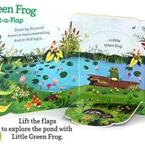 Little Green Frog Chunky Lift-a-Flap Board Book (Babies Love)